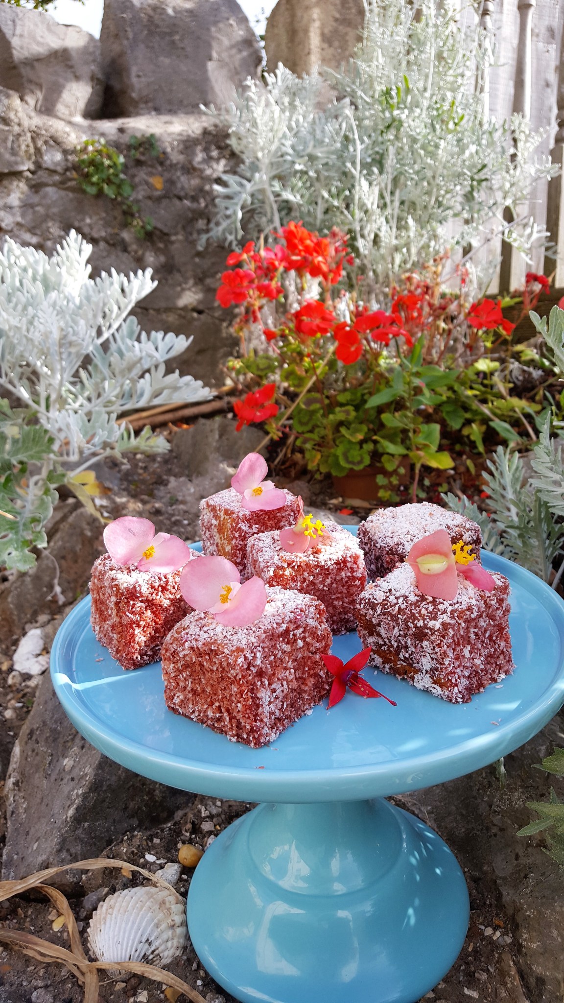 “Gateau Carre Rouge” – Red Lamington Cake – Brinda Bungaroo